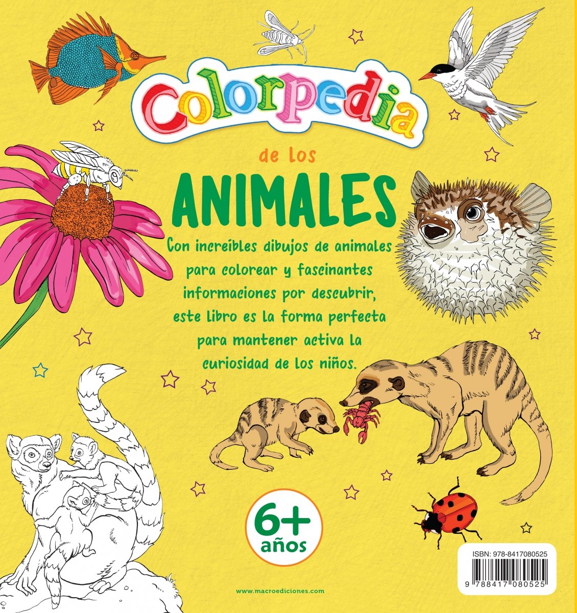 COLORPEDIA DE LOS ANIMALES | Libro de Lindsey Leigh | Macro Ediciones